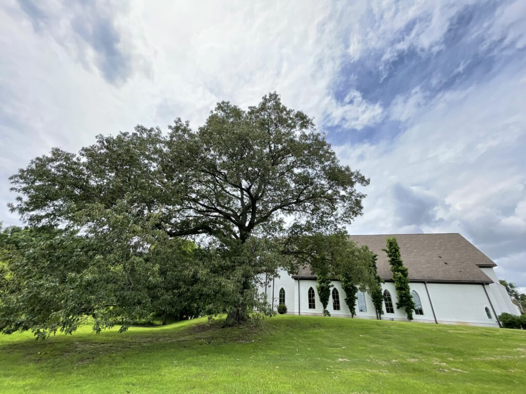 Sister Trees: Story of An Altar - Episcopal Diocese of West Tennessee